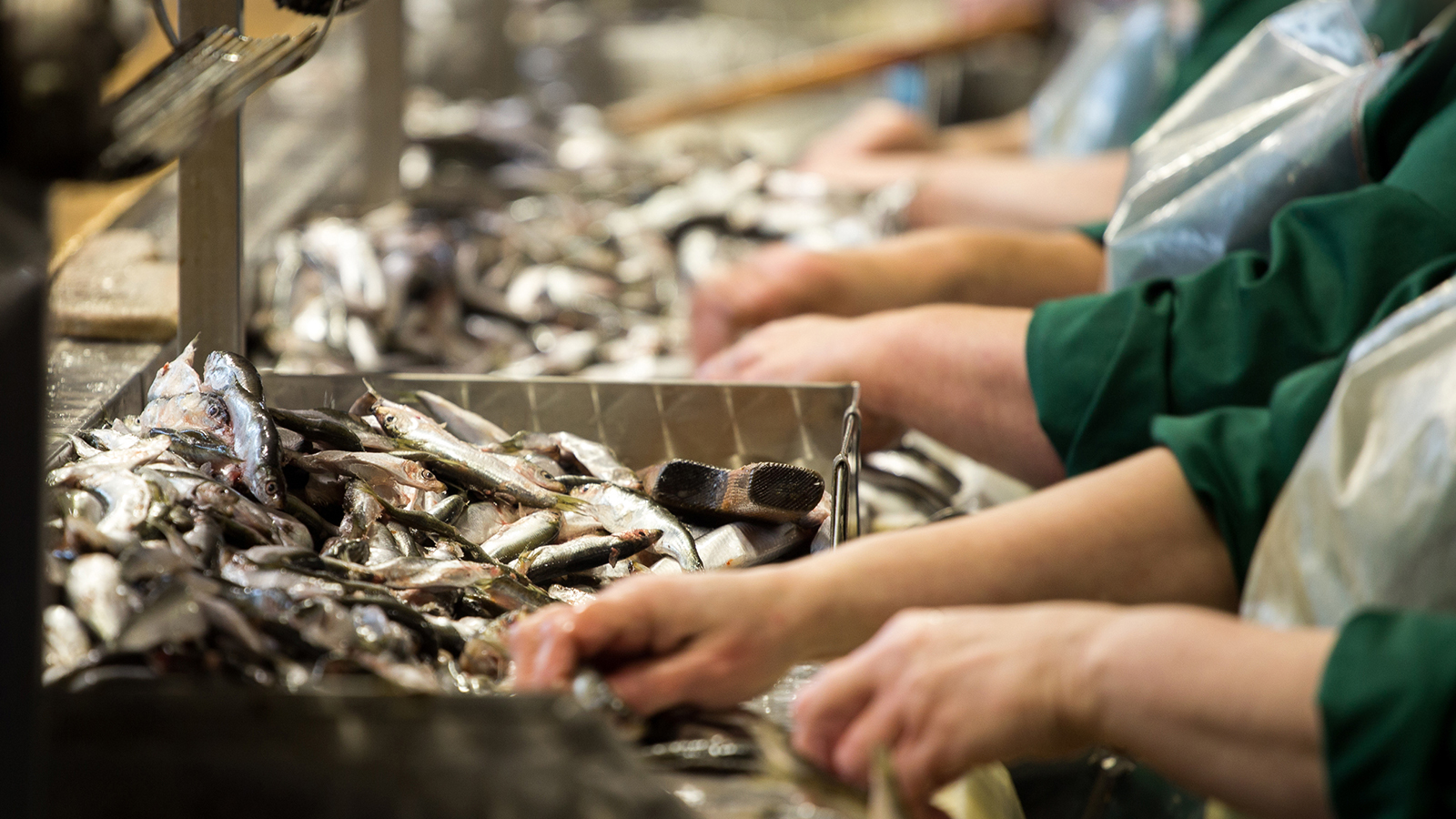 The Hidden Cost of Forced Labour - Cress Consulting